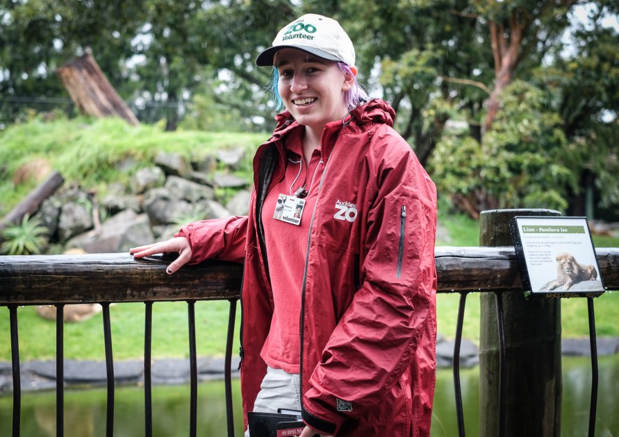 Let's Talk about the Animals | Volunteering Auckland