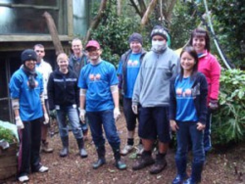 BNZ Volunteers at the Auckland Zoo | Volunteering Auckland